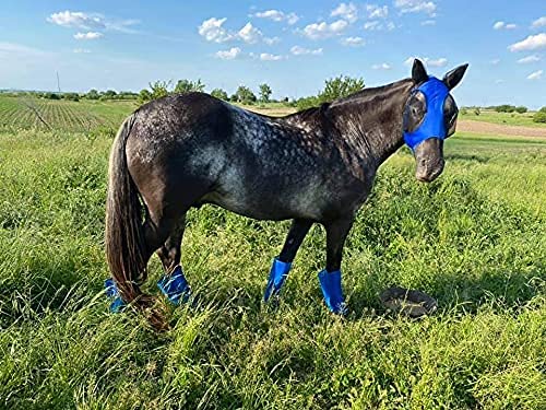 Fly Free Insect Protection Boots, Blue, HORSE