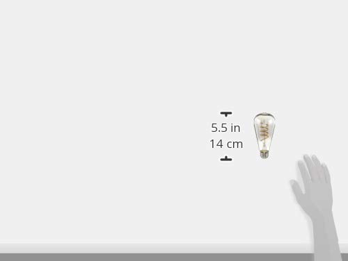 GE Vintage Style LED Light Bulbs, 25 Watt, Smoke Finish, ST19 Edison Style Bulbs (2 Pack)