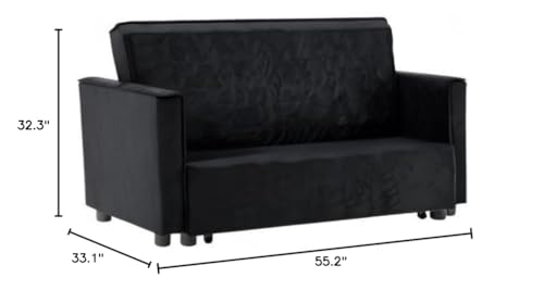 ERYE Black Velvet 2 Pillows