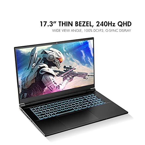 Sager 2023 NP8875E Gaming Laptop, 17.3 Inch QHD 240Hz 100% DCI-P3 G-Sync, Intel i9-13900HX, RTX 4070 8GB, 32GB RAM, 1TB Gen4 NVMe SSD, Win 11