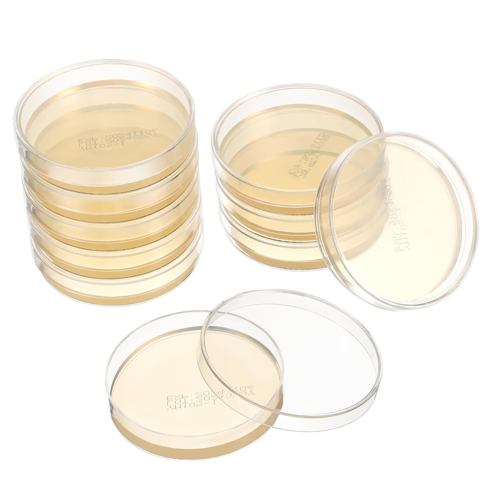 ULTECHNOVO Sciences Nutrient Agar Petri Dishes 10pcs Pre-Poured Agar Plates for Mushrooms, Home Test Kit, or for Science Fair Projects
