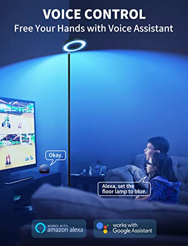 XMCOSY+ Floor Lamp, 2400LM Smart RGBW LED Standing Lamp with Modern Double-Side Lighting, WiFi APP Control, Works with Alexa, 2700K-6400K Color Changing Dimmable Tall Lamps for Living Room Bedroom