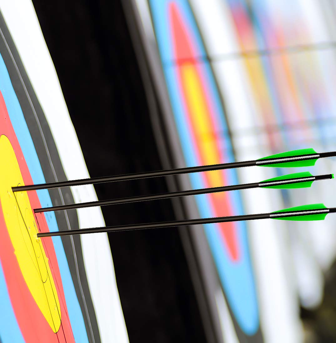 Feida 12 Packs Carbon Crossbow Bolts Arrows 20/22 Inches Hunting Arrows with Changeable Tips for Crossbow (22 Inches)