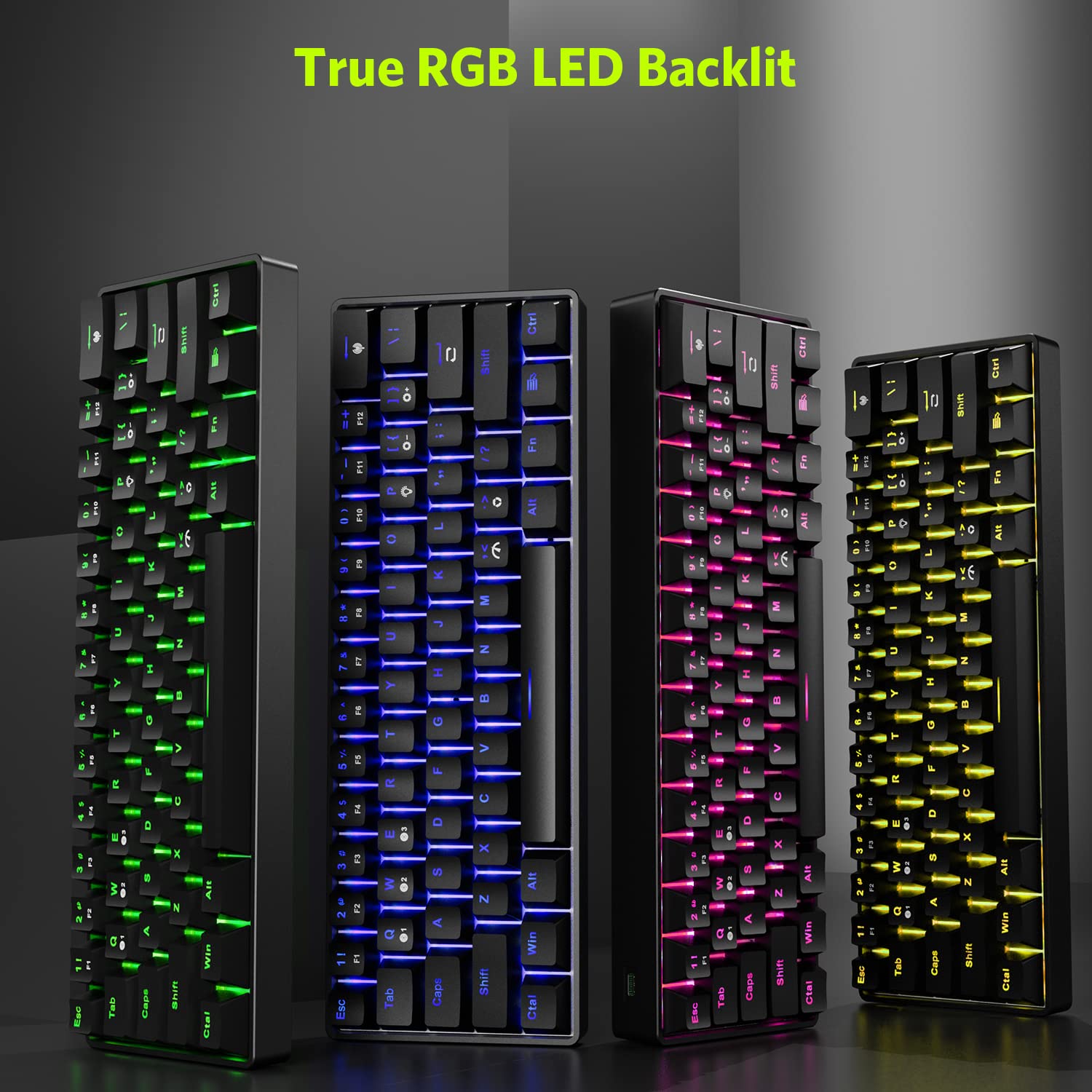 Fiodio 61 Keys RGB Wireless and Wired Mechanical Gaming Keyboard with Blue Switches, Audible Click Sound Rainbow Portable Compact Mini Office Keyboard for Windows PC Gaming, (F-SG61)