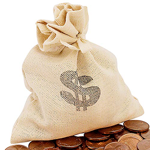 Lincoln Penny Bankers Bag Beginner Coin Set | Coins for Kids | Coloring Sheet and Quiz | Canvas Bag- American Coin Treasures