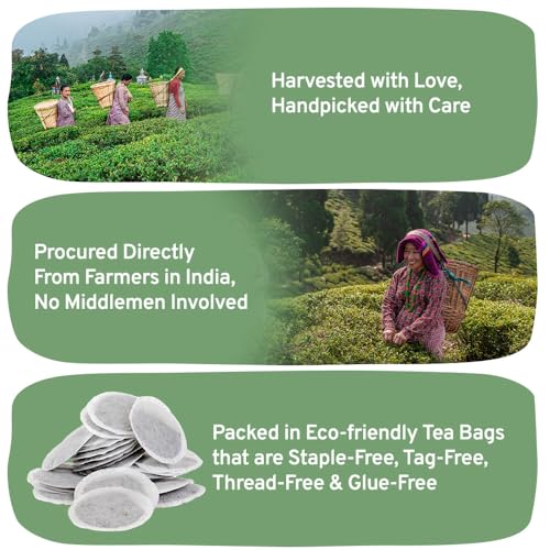 HANDPICK, Organic Green Tea Bags - 100 Tea Bags | Resealable Bag, Round & Eco-friendly Tea Bags | Direct From India