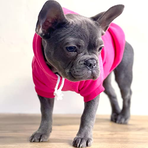 Stealing Hearts & Blasting Farts Valentine's Day Pullover Fleece Lined Dog Hoodie with Leash Hole (Red Hooded Sweatshirt)