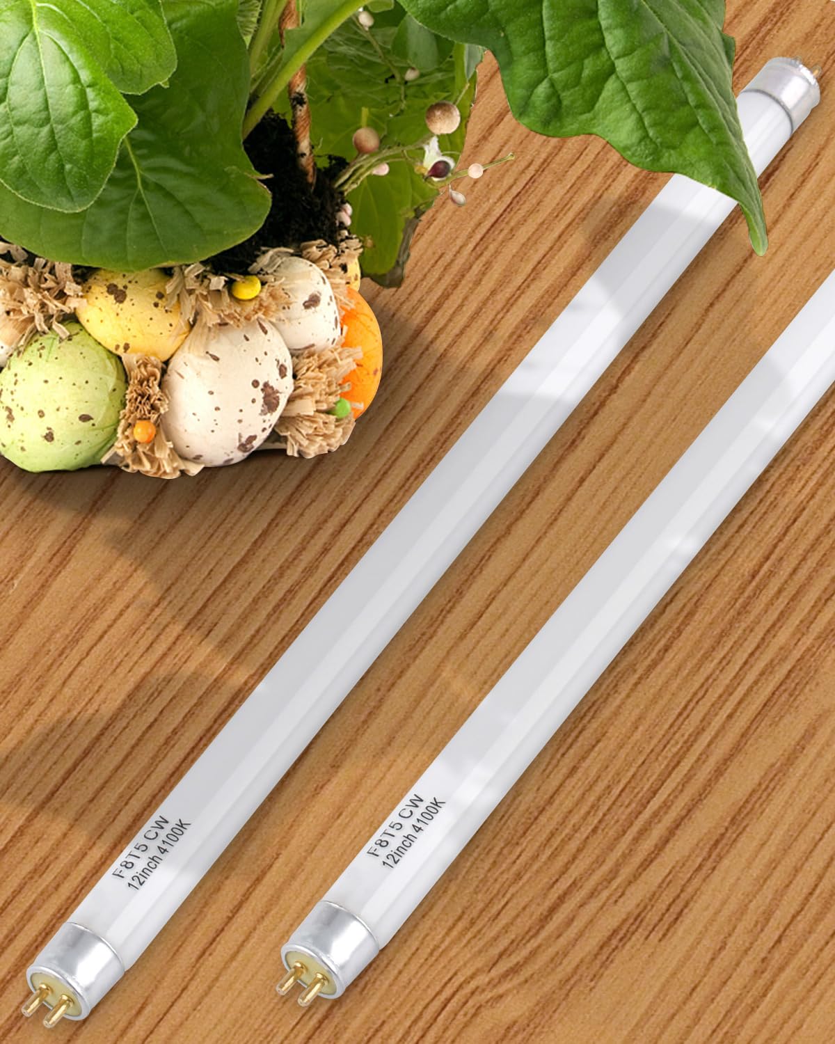 PACETAP F8T5 CW 4100k Fluorescent Bulbs 12 Inch 6 Pack, 8 Watts Linear Under Cabinet Fluorescent Light Bulb, G5 Mini Bi Pins Base Replacement Tube for Under Cabinet Light, RV, Closet