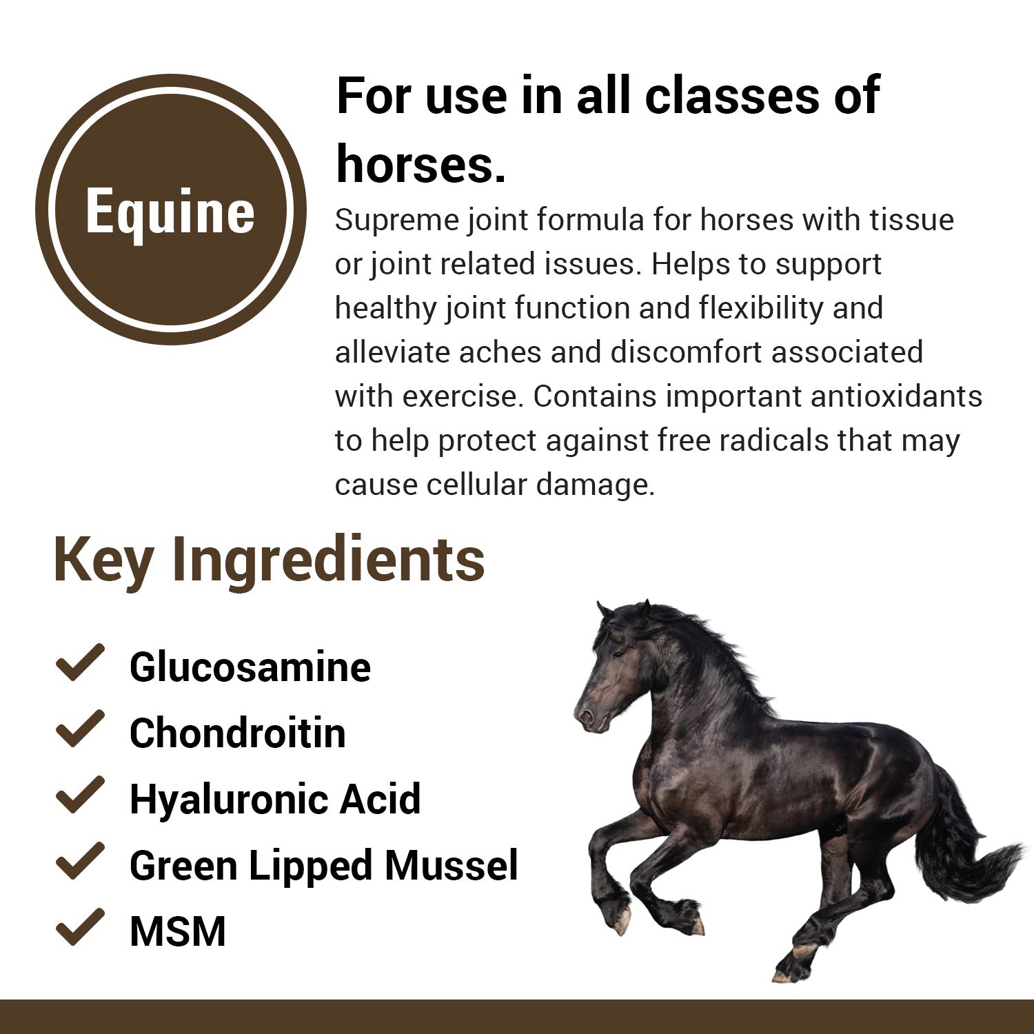 Vet Classics ArthriEase-Gold Joint Support for Horses - Powder Health Supplement for Horses β Alleviates Aches and Discomfort β For Flexibility, Healthy Joint Function β Antioxidants 2 lb. 4 Oz.Powder