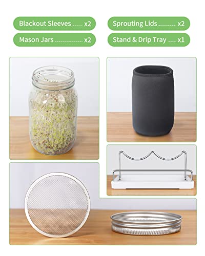 RAYPLE Sprouting Jar Kit, 2 Wide Mouth Mason Jars, Premium Stainless Steel Screen Sprout Lids, Blackout Sleeves, Tray, Stand, Sprouting Kit for Growing Broccoli,Alfalfa,Mung Bean