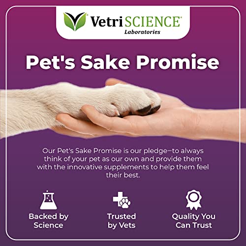 VetriScience Immune Plus Immunity Support for Small Dogs, 60 Capsules – Immune and Allergy Support Supplement for Dogs Under 30 Pounds - Formerly Cell Advance 440