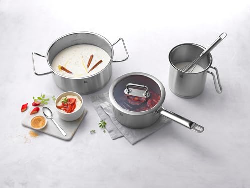 ZWILLING 65122-200 Pro Stew Pot 7.9 inches (20 cm) (with Glass Lid), Two-Handed, Stainless Steel, 3-Layer Bottom Structure, Induction Compatible, 1.2 gal (3.0 L)