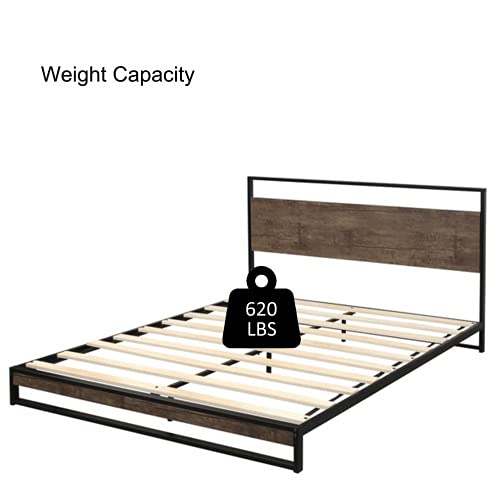 FUZOFUIZ Metal Queen Bed Frame with Wood Slats Support, Solid Construction,No Box Spring Needed, Easy Assembly
