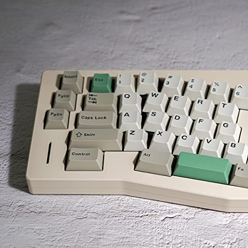 Sumgsn 192 Keys Double Shot 9009 Keycaps Cherry Profile with 7u Spacebar Fit for 61/64/87/104/108 Cherry Mx Switches ANSI ISO Mechanical Keyboard