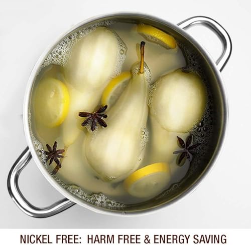 HOMICHEF Stock Pot 6 Quart Nickel Free Stainless Steel - 6 Quart Pot With Lid and Handle - 6Qt Saucepan With Lid - Soup Pot Small Cooking Pot 6 Quart - 6 Qt Pot With Glass Lid - Induction Pot With Lid