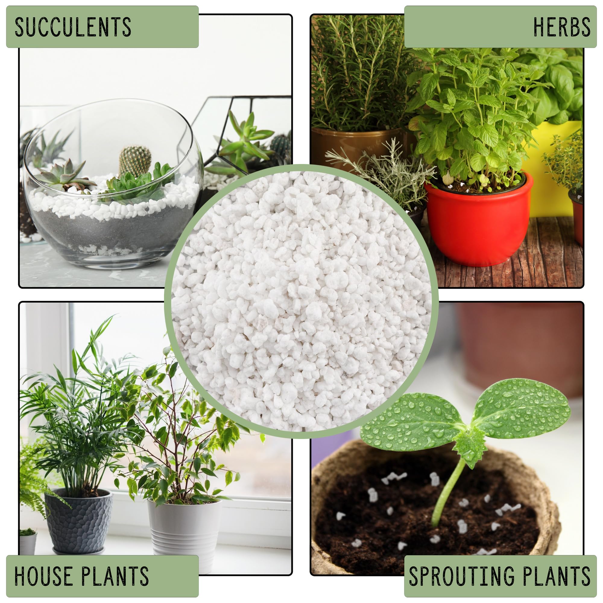 Horticultural Perlite Soil Additive (12 Quarts); for Enhanced Potting Mix Drainage and Growth