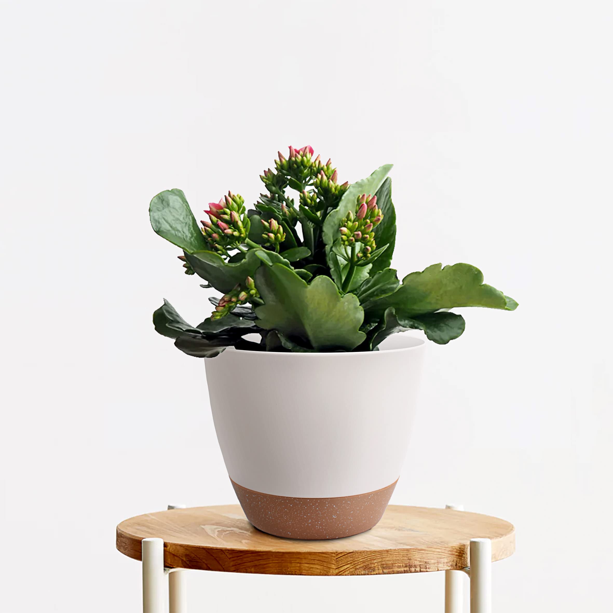 Giraffe Creation 9 inch Plant Pots 2-Pack, Self Watering Flower Pots Indoor Outdoor, Planters with Drainage Hole Saucer Reservoir, White Brown