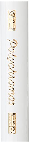 Faber-Castell Polychromos Artists' Single Pencil - Colour 101 White