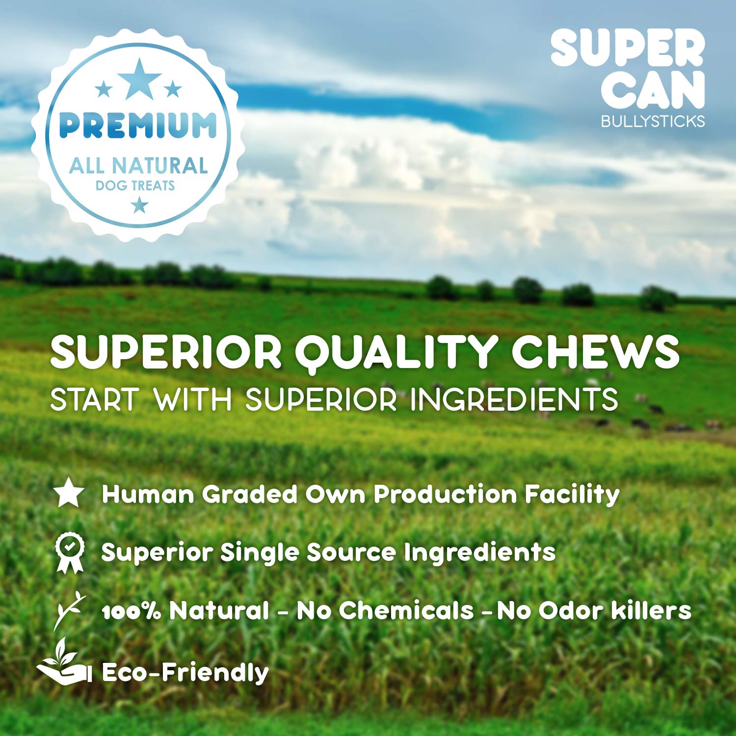 SUPER CAN BULLYSTICKS Pork Lung Bites Dog Treats (12oz) | 100% Natural Chews | High in Vitamin B6, B12, C, Iron, Copper & Zinc | Training Treats for Small Dogs
