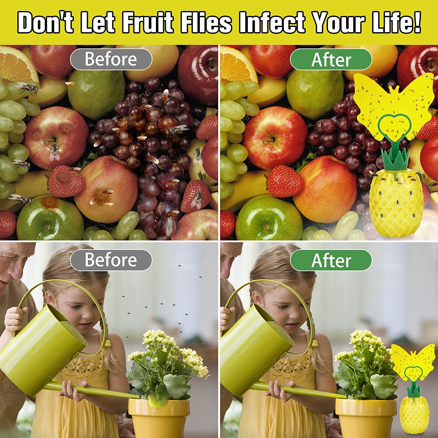 Fruit Fly Trap with Sticker, 2023 Upgrade Effective Fly Catcher Gnat Traps for House Indoor, Safe Non-Toxic Reusable Fruit Fly Gnat Killer with Fruit Fly Attractant for Home, Plant, Kitchen (2 Pack)