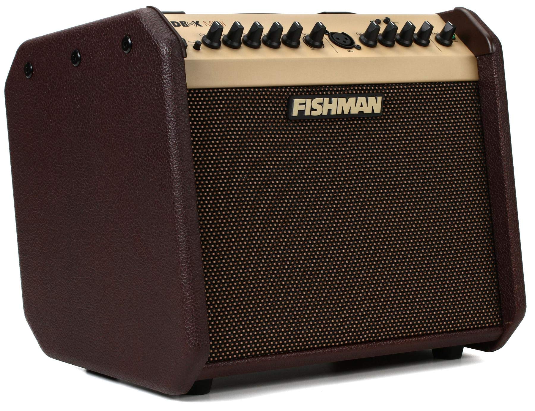 Fishman Loudbox Mini BT 60-Watt 1x6.5 Inches Acoustic Combo & Deluxe Carry Bag for Loudbox Mini Mini Charge