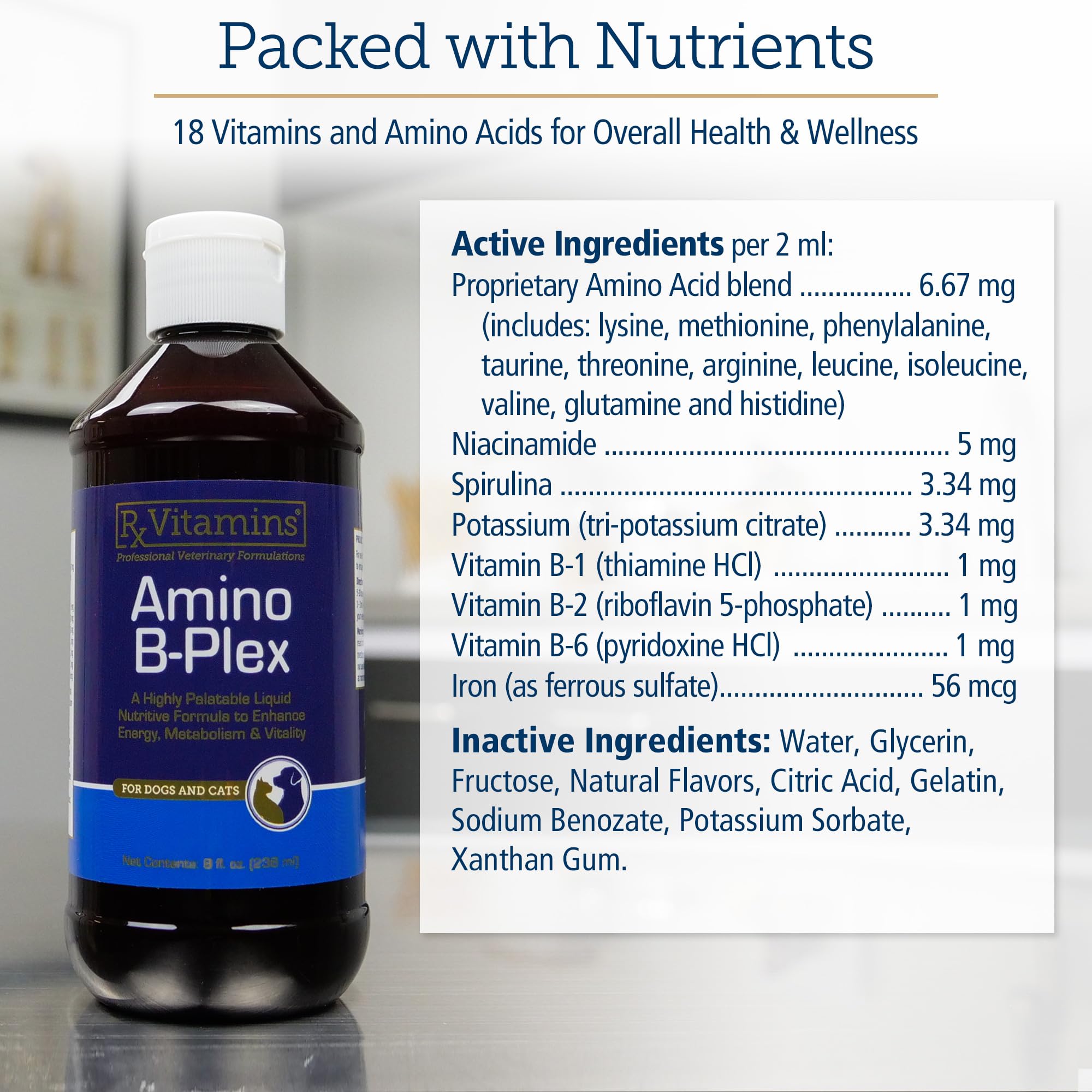 Rx Vitamins Amino B-Plex Cat & Dog Supplement - Vitamin B Complex Liquid Plus Amino Acids for Dogs & Cats - Appetite Booster and Cat & Dog Weight Gainer - Cat and Dog Supplements & Vitamins - 8 oz