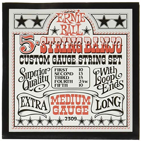 Ernie Ball 5-String Medium Stainless Steel Banjo Strings, 10-10 Gauge (P02309)