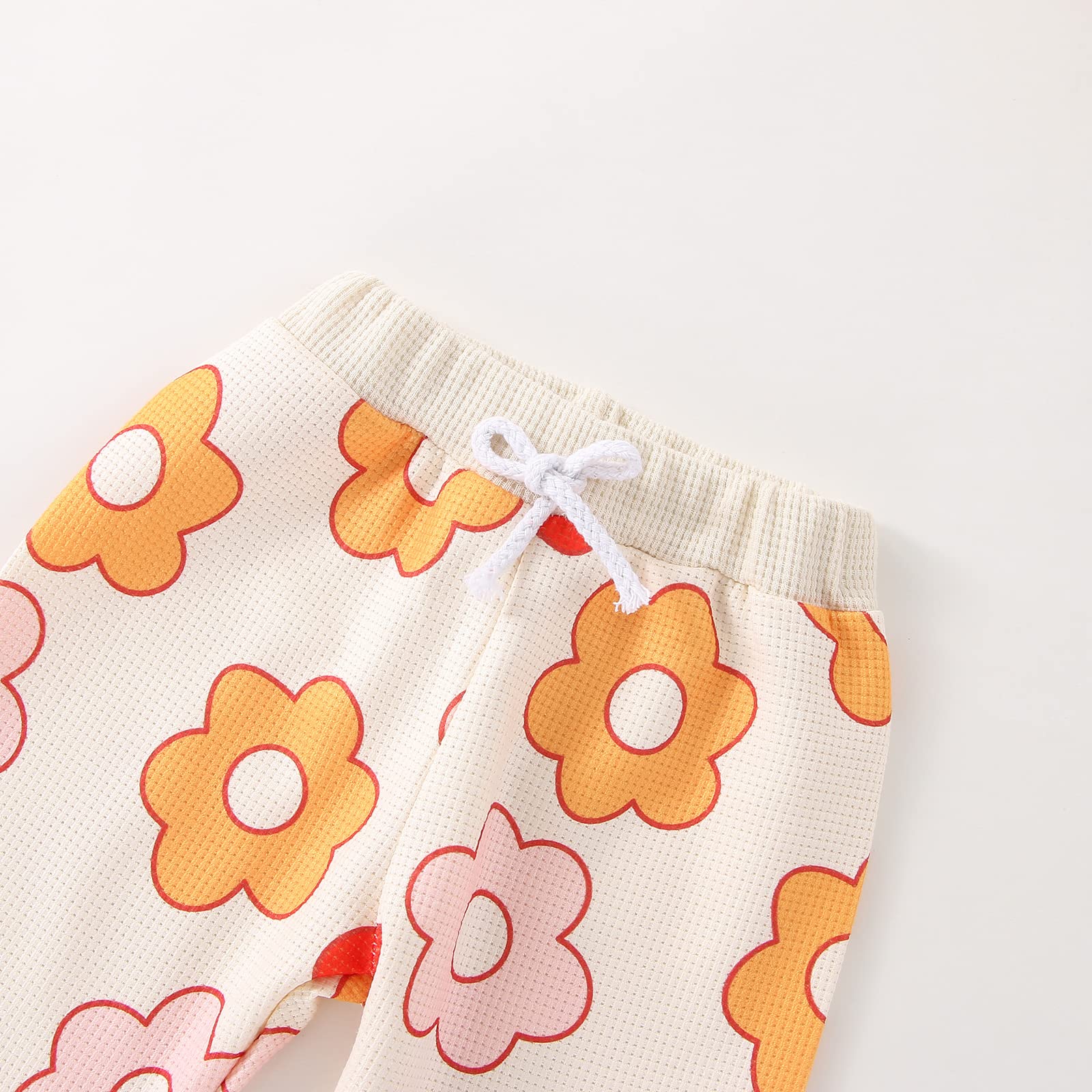Newborn Infant Baby Girl Floral Clothes Set Long Sleeve Pull On Top Long Pants 2Pcs Fall Winter Outfits (Floral Set A,12-18 Months)