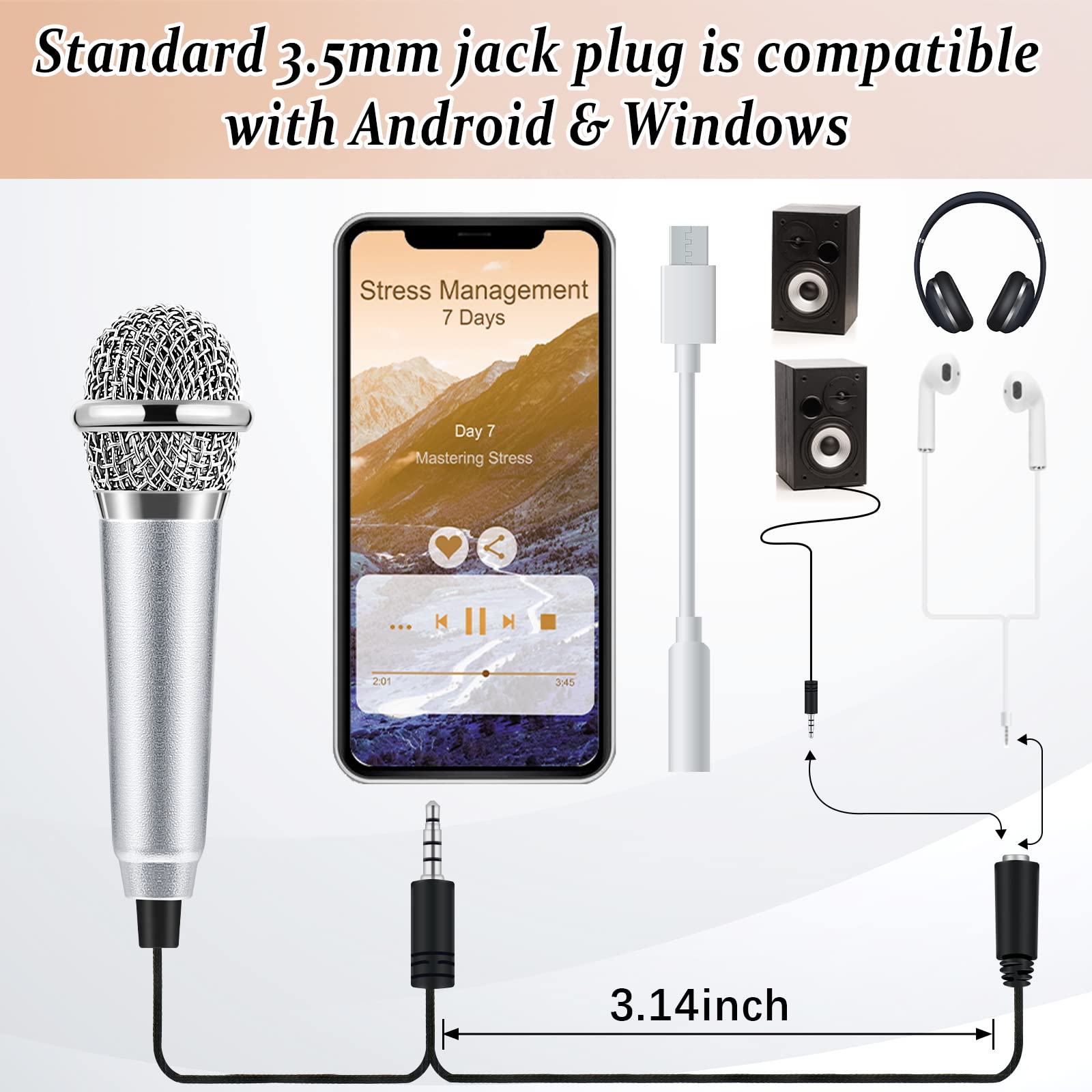 Flutesan 3 Pieces Mini Microphone Tiny Microphone Mini Portable Vocal Instrument Microphone and 3 Pieces USB Type C to 3.5 mm Female Adapter for Mobile Phone