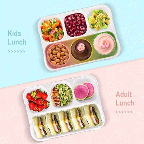 NatraProw Bento Box for Kids, 4 Compartment Kids Lunch Box Leak Proof, Cute Bento Snack Box for Adults and Kids With Utensils, Lunch Containers BPA-Free, Microwave Bento Box (Pink)