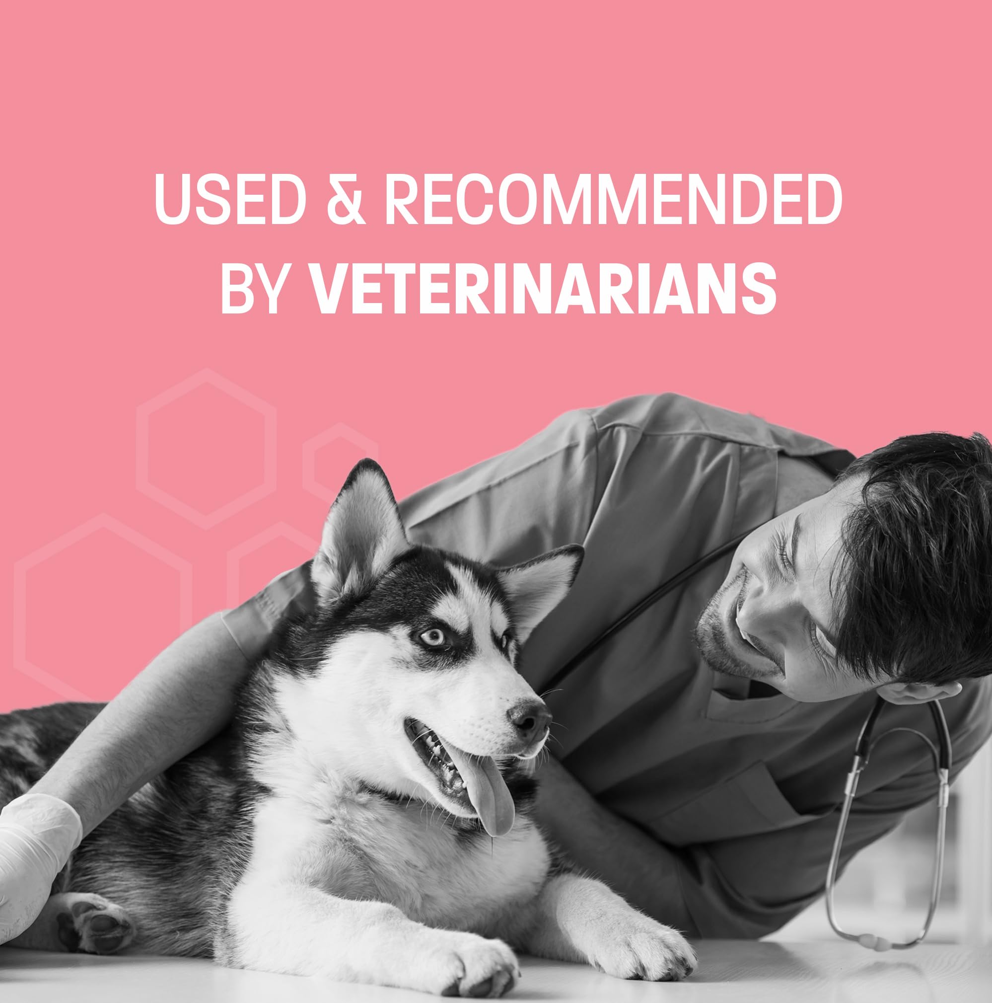 Pet Health Pros Advanced Probiotics for Dogs - Probiotic Soft Chew for Upset Stomach, Diarrhea & Constipation Relief - Promotes Happy Gut, Happy Dog - 60 ct