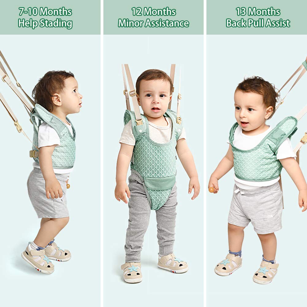 Handheld Baby Walking Harness for Kids Adjustable Toddler Walking with Detachable Crotch Keeper Walking Assistance Helper Safe Standing Walk Learning Baby Gift for 7-24 Months Baby(Green)