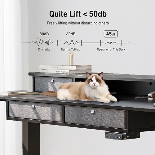 FEZIBO 48 x 24 Electric Standing desk Adjustable Height with 4 Drawers, Sit Stand Desk with Storage Shelf, Rising Desk with Splice Board, Black Frame/Rustic Brown Top, 48 inch