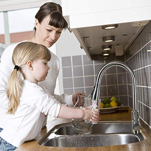 Kitchen Faucet with Pull Down Sprayer,Single Handle Kitchen Sink Faucet with Pull Out Sprayer,High Arc,Stainless Steel Kitchen Faucets with Deck Plate,Brushed Nickel KC-98001BS