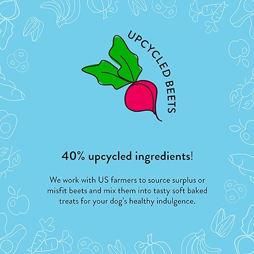 Shameless Pets Soft-Baked Dog Treats, Duck Duck Beet - Natural & Healthy Dog Chews for Digestive Support with Fiber - Dog Biscuits Baked & Made in USA, Free from Grain, Corn & Soy - 1-Pack