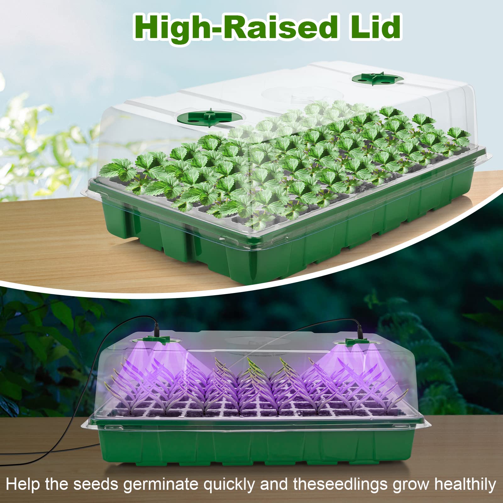FEYDSGF Seed Starter Tray with Grow Light,40 Cells (2 Pack) Seed Starter Kit with Air Vent Humidity DomeHeightened Lids Growing Trays for Indoor Gardening Plant Germination Trays