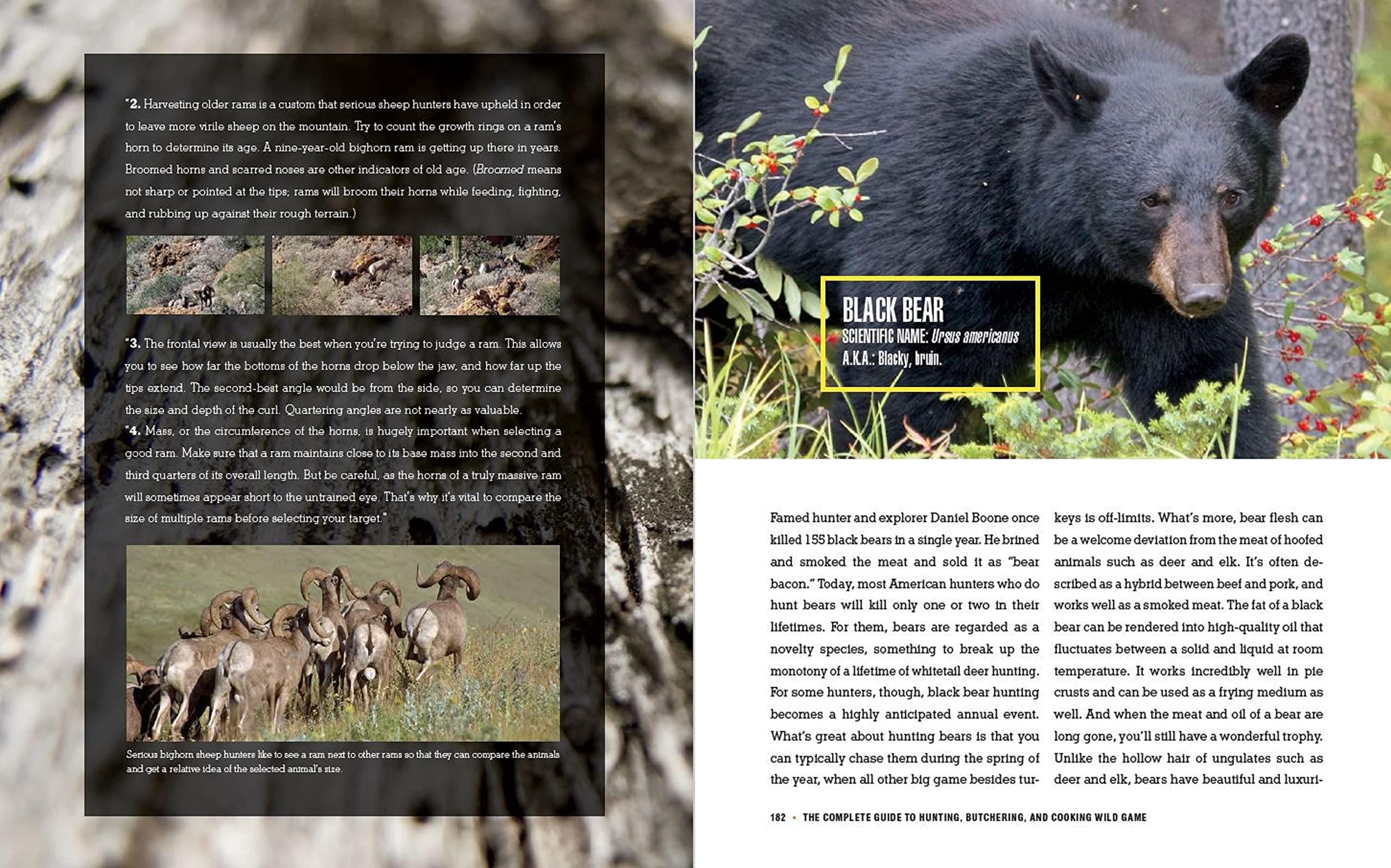 The Complete Guide to Hunting, Butchering, and Cooking Wild Game: Volume 1: Big Game