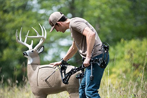 Field Logic GlenDel Pre-Rut Buck 3D Archery Target with Replaceable Insert Core, GlenDel Pre-Rut Buck w/ 4-sided insert, Brown