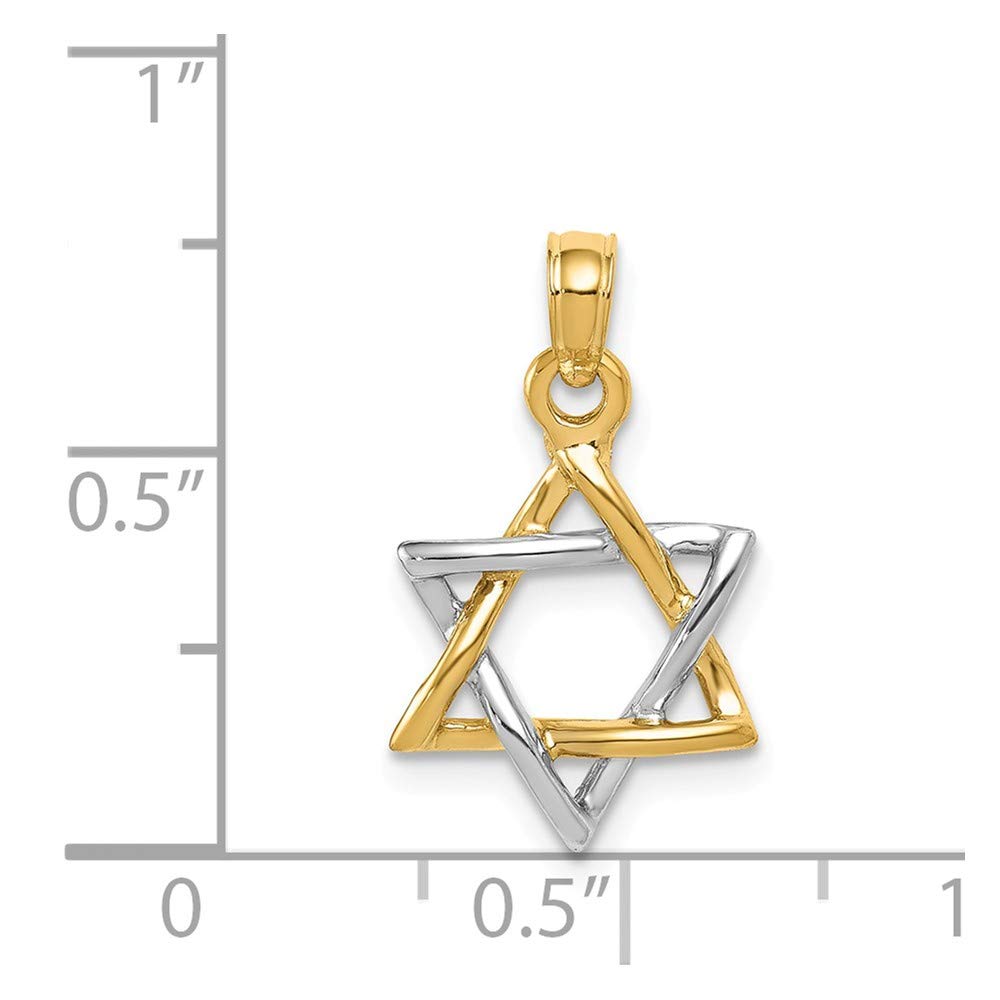 FB JEWELS Solid 14K White And Yellow Two Tone Gold Polished Star Of David Pendant