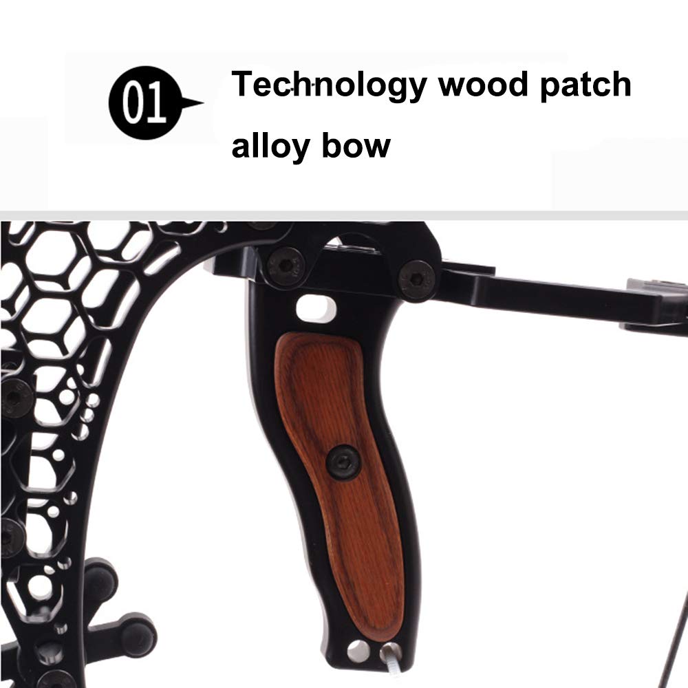 GOFEI Hunting Compound Bow, Archery Dual Purpose Composite Pulley Bow Outdoor Steel Ball Bow for Adult Archer Training