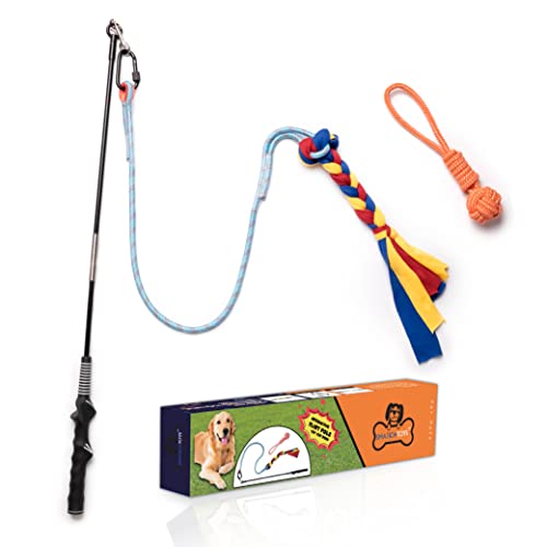 SMATICA Flirt Pole for Dogs - Interactive Dog Toys for Boredom & Stimulating – Lightweight & Sturdy Puppy Toys – Flirt Pole for Dogs Heavy Duty for Dog Training & Exercise (Not for Aggressive Chewers)