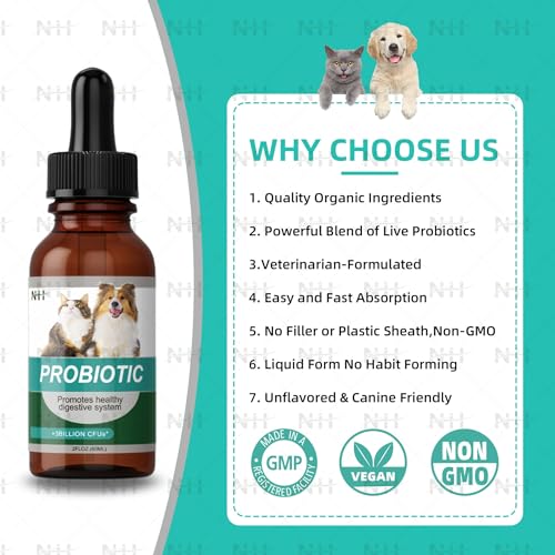 SMASUPT Probiotic Chews for Dogs, 120 Soft Chews, 10.58 oz, Gut Health, Digestive Health, Immune System + Probiotic Drops