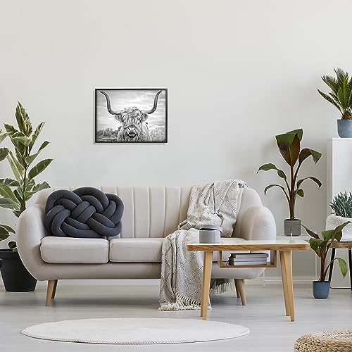 Stupell Industries Black and White Highland Cow Photograph Framed Giclee Art Design By Joe Reynolds, 16.00" x 20.00"