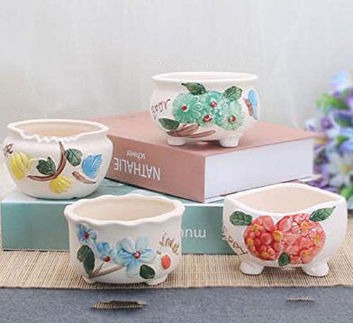 Maya Star 4 PCS Ceramic Succulent Plant Pot/Cactus Plant Pot Flower Pot/Container,Farmhouse Style Planter Bonsai Pots with A Hole A05