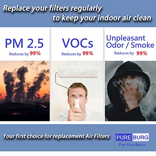 PUREBURG C545 Replacement True HEPA Filter Set Compatible with WINIX PlasmaWave P150 and B151, C545 Air Purifiers, Part Number Filter C / 113050, Filter S / 1712-0096-00,H13 Activated carbon