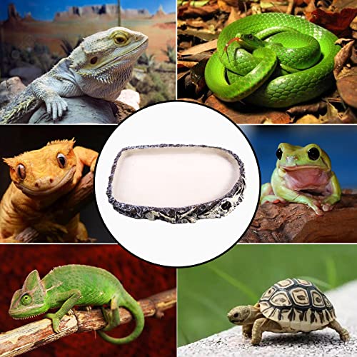 Tfwadmx Reptile Water Bowl Reptile Rock Food Dish Reptile Feeder Food and Water Feeding Bowl for Lizard Bearded Dragon Turtle Frog Leopard Gecko Snake Chameleon
