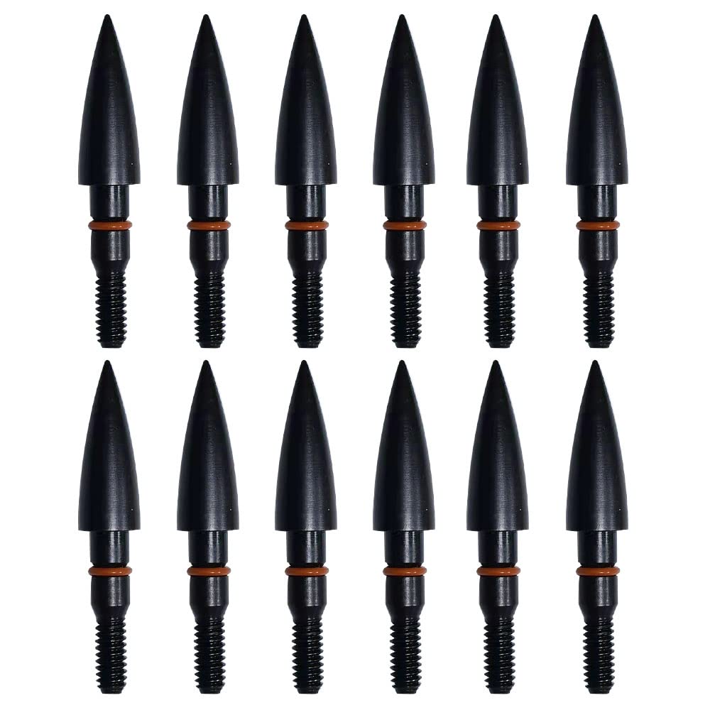 Field Points arrowheads 100 Grains Archery Field Points,5/16" Steel Screw in Archery Field Tips and Broadheads (1 Dozen 12 PCS)