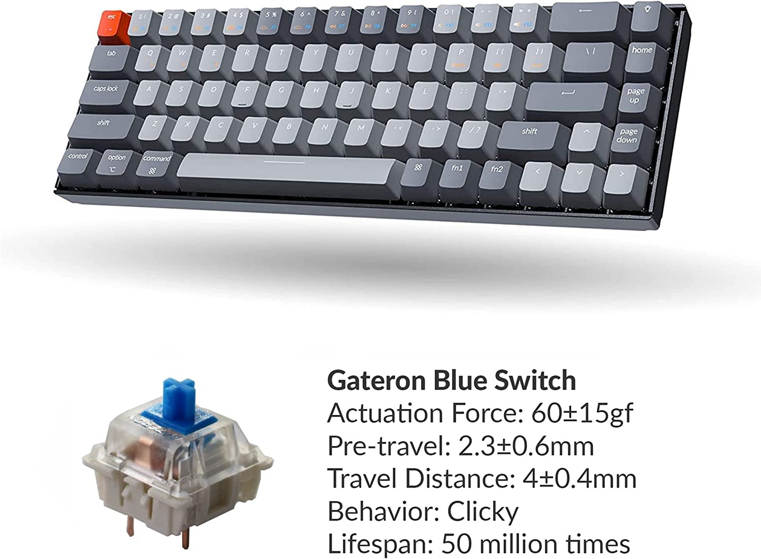 Keychron K6 Gaming Mechanicak Keyboard Wireless/Wired, 65% Layout 68 Key Compact Bluetooth Keyboard with White Backlit, N-Key Rollover, Gateron G Pro Blue Switch for Mac Windows