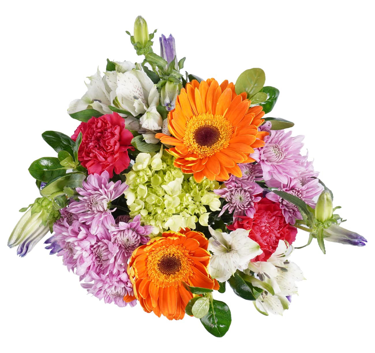Floral, Whole Bouquet