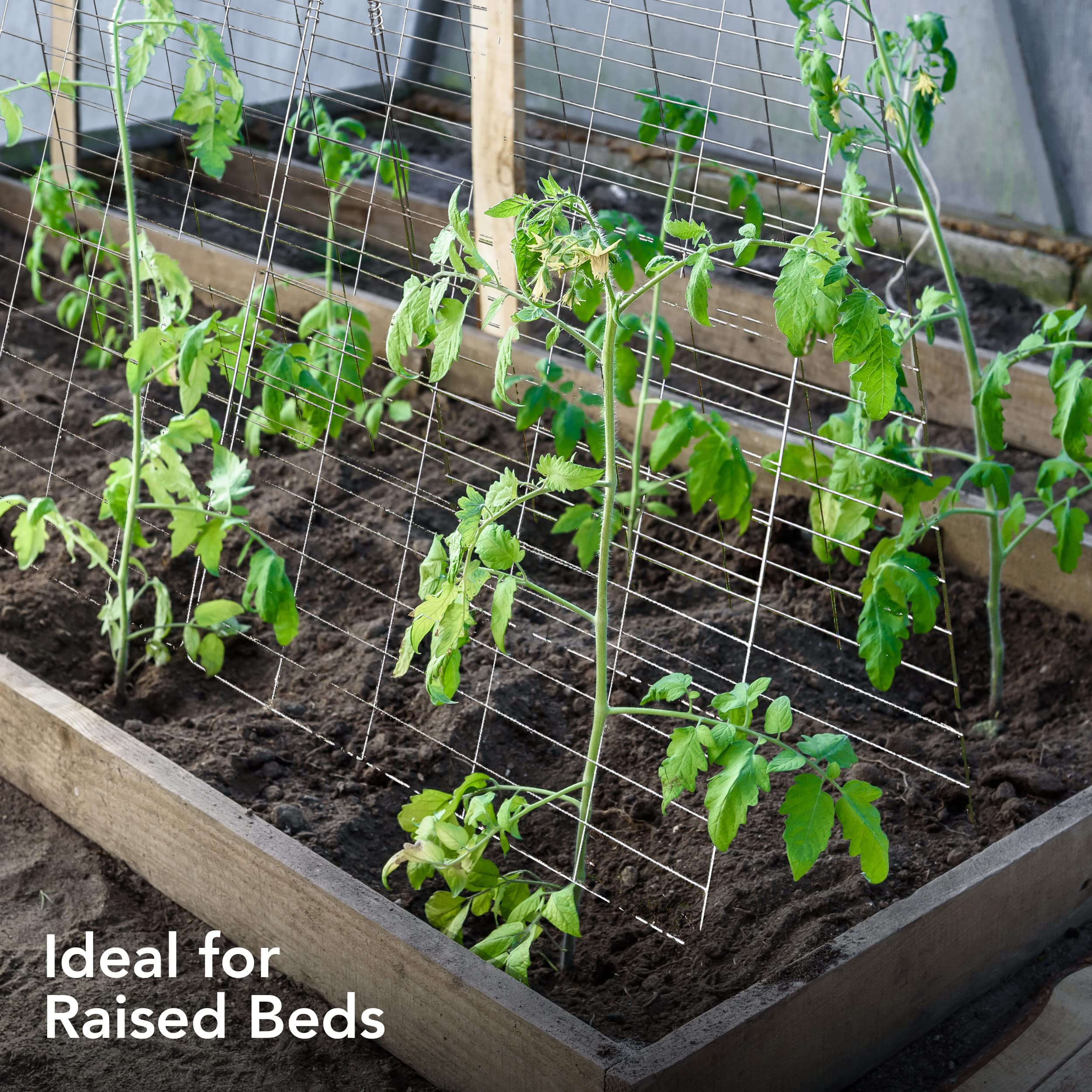 GOLETIO Cucumber Trellis for Raised Bed - 35" x 55" Garden Trellis for Climbing Plants Outdoor - A Frame Trellis for Climbing Vegetables with Plant Support Clips and Gloves